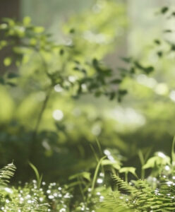 Ennogen Healthcare - pharmaceutical and medical device company